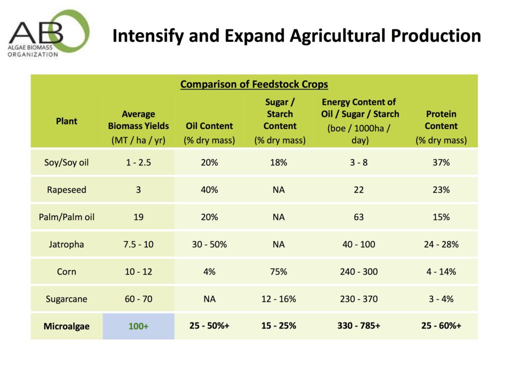 The Potential of Algae in Agriculture and Carbon Capture